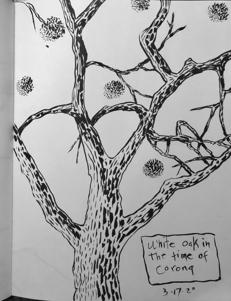 Socially Distant Drawing – On The Way